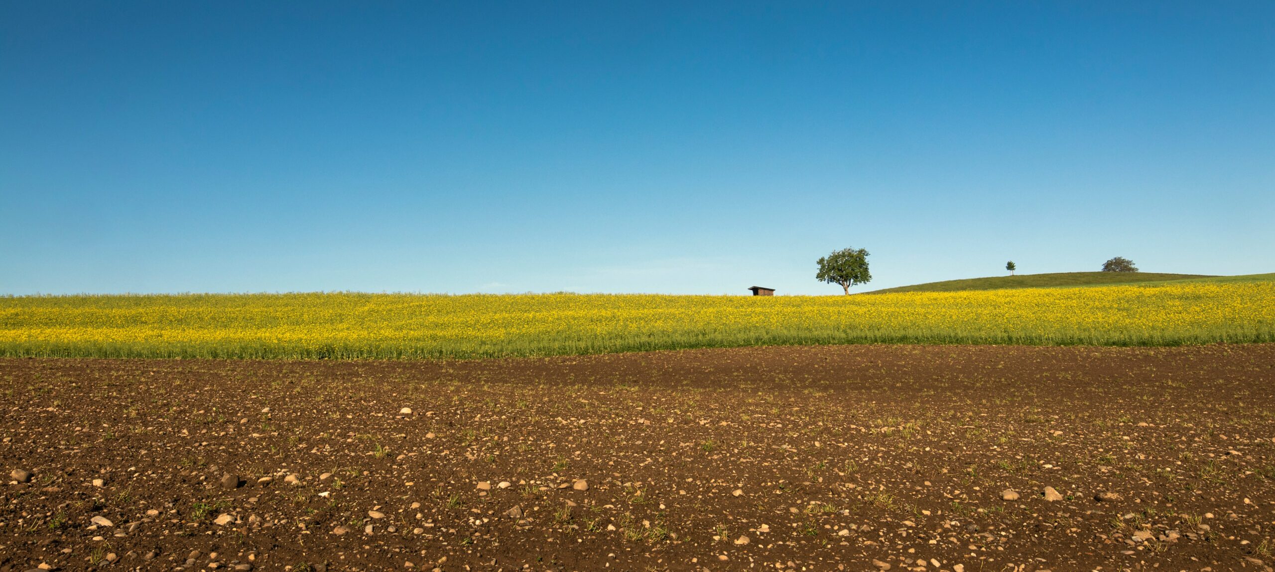Mike Stuber – Lohnunternehmen